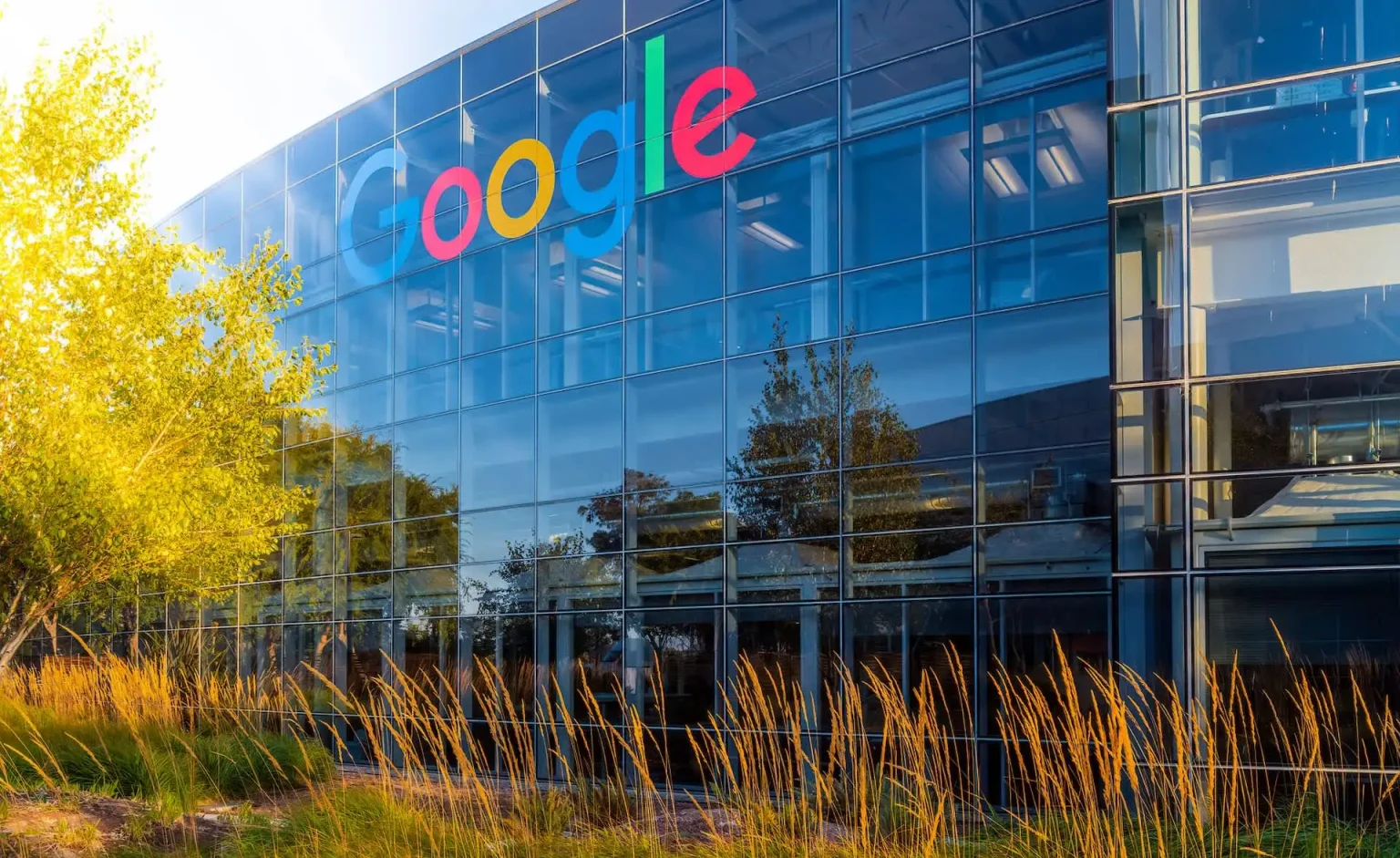 Google prévoit de libérer 32 millions de moustiques infectés dans deux ...